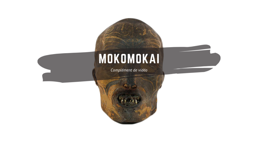 Mokomokai : les têtes momifiées Maories. - Le Bizarreum par Juliette Cazes